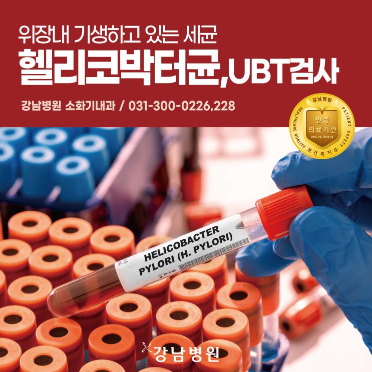 [소화기내과] 위장내 기생하는 헬리코박터균, UBT 검사 방법 안내 : 네이버 블로그