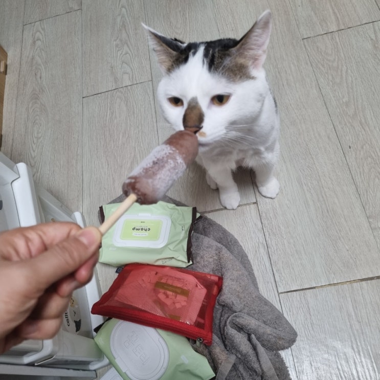 5월24일 챌린지 어디로갈까 : 네이버 블로그