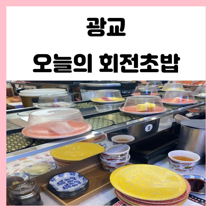 광교 초밥집 오회초 오늘의 회전초밥 배터지게 먹고 왔어요 네이버 블로그