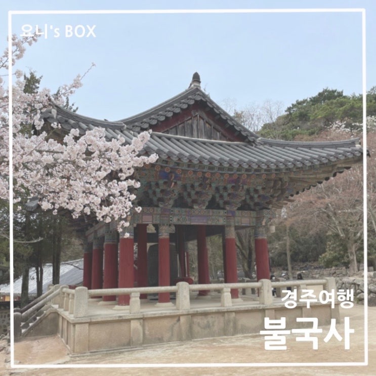 경주 가볼 만한 곳 불국사 입장료 및 주차 가는 방법 네이버 블로그