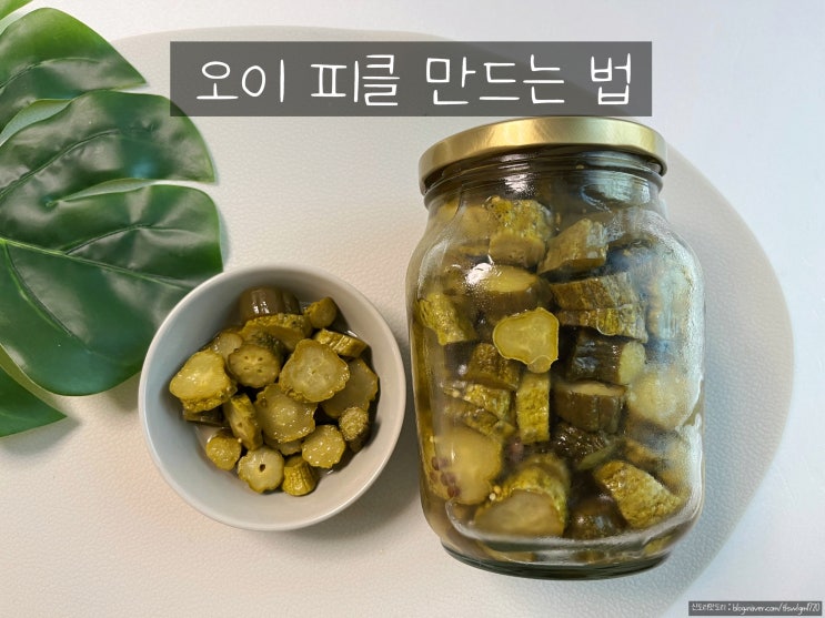 수제 피클 피클링 스파이스 오이 피클 소스 만드는법 미니오이 피클 배합초 레시피 오이피클 만들기 네이버 블로그
