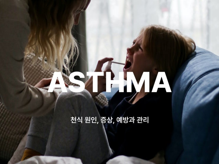천식 원인 증상 치료 예방 및 관리 만성폐쇄성폐질환 차이 네이버 블로그