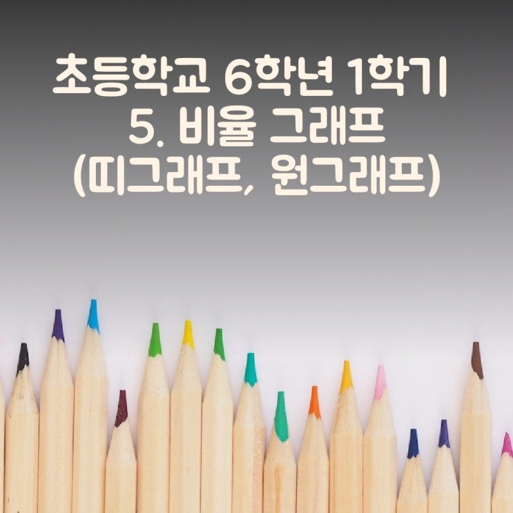 안성공도진사리수학과외 초등수학 6학년 1학기 5 비율 그래프 띠그래프 원그래프 여러 가지 그래프 네이버 블로그