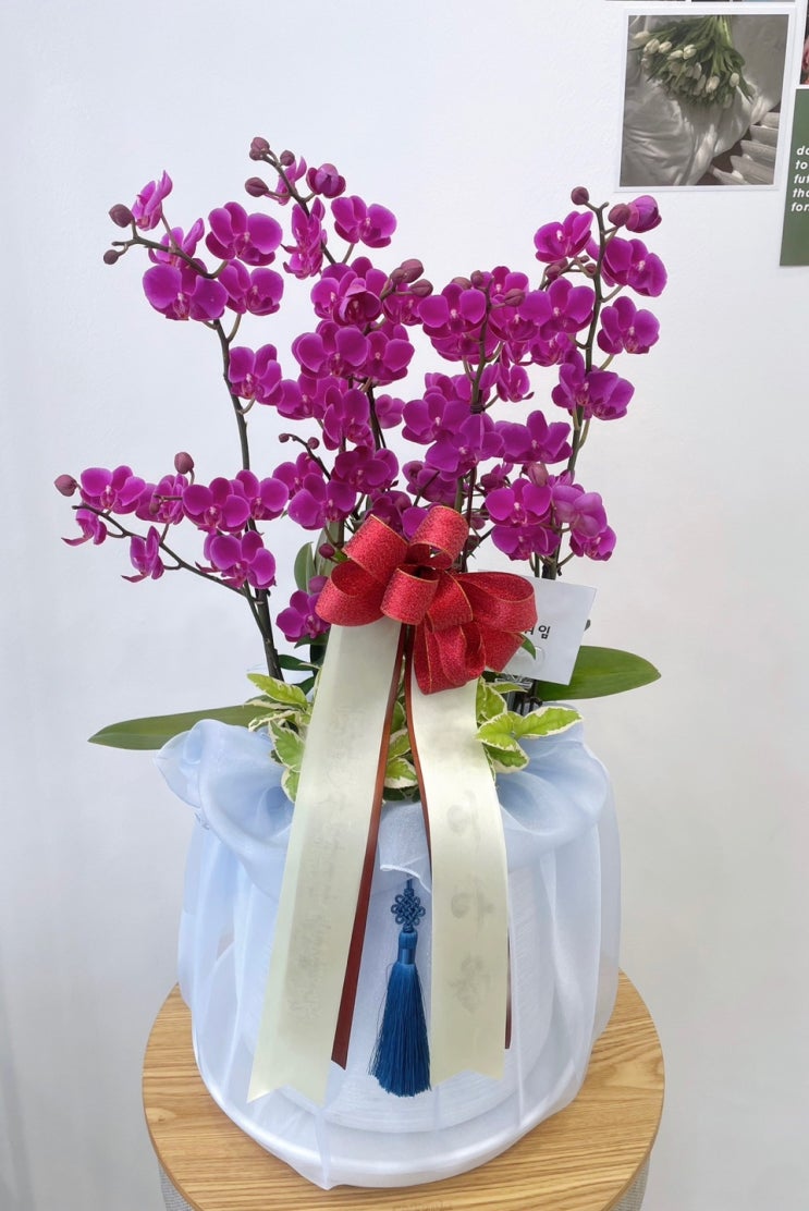 승진화분 개업화분 힙팟 기념일꽃다발 생일꽃다발 기념일꽃다발 화환 영종도꽃집 운서동꽃집 운서역꽃집 하늘신도시꽃집 운남동꽃집
