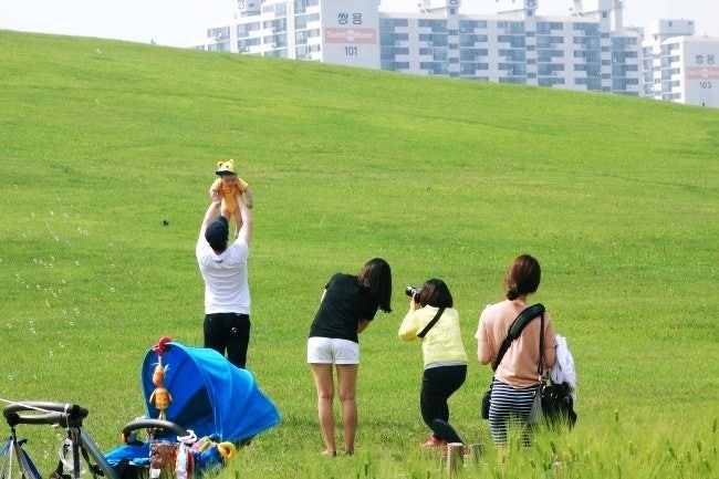 서울 주말에 가볼만한 곳 올림픽 공원 나홀로나무 소마 미술관 한성백제 박물관 온조 서울의 역사를 열다 네이버 블로그