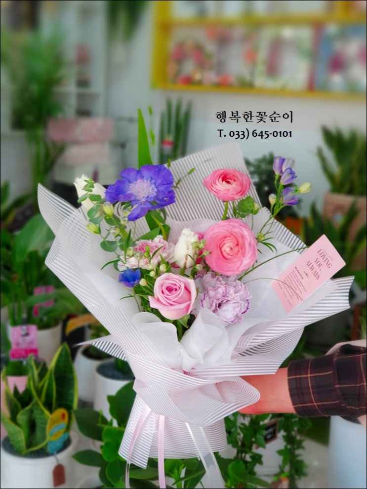 20230526 ♥강릉시내꽃집 ♥강릉입암동꽃집예쁜꽃다발생일꽃다발강릉당일꽃다발배달강릉꽃배달강릉꽃다발맛집강릉꽃집추천