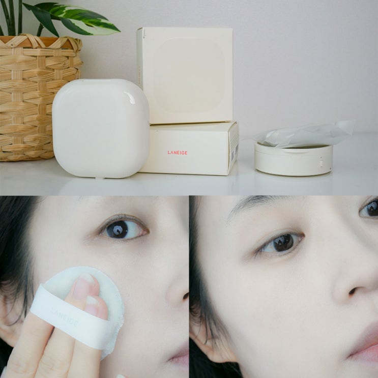 피니쉬파우더 유분기 잡는 노세범 라네즈 파우더팩트 네이버 블로그