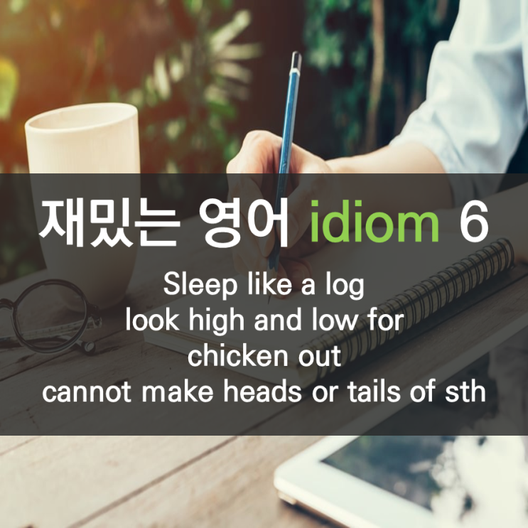 [재밌는 영어 idiom]-6 chicken out / cannot make heads or tails of sth ...