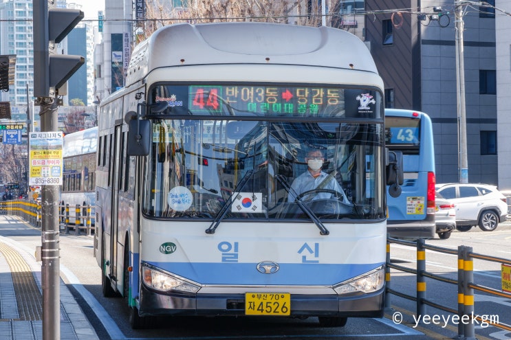 부산 일신여객 44번 4526호 NEW BS110 NGV 2013 : 네이버 블로그