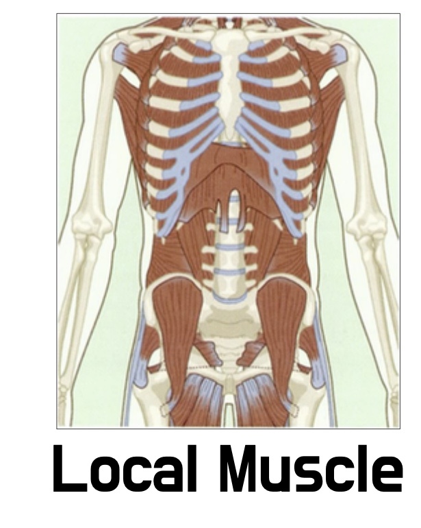 로컬 머슬 ( Local muscle) VS 글로벌 머슬 ( Global muscle) : 네이버 블로그