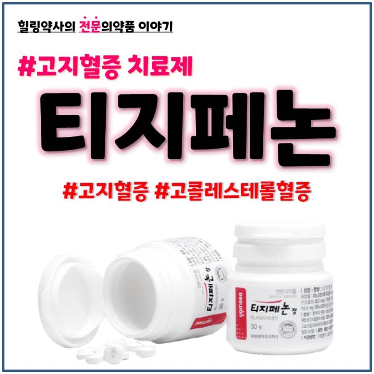티지페논 티지페논정 페노피브레이트 고지혈증 고콜레스테롤혈증 치료제 효능 효과 부작용 성분 복용법 네이버 블로그