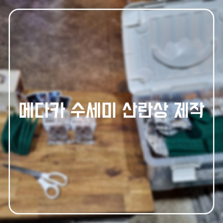 메다카 수세미 산란상 제작 : 네이버 블로그