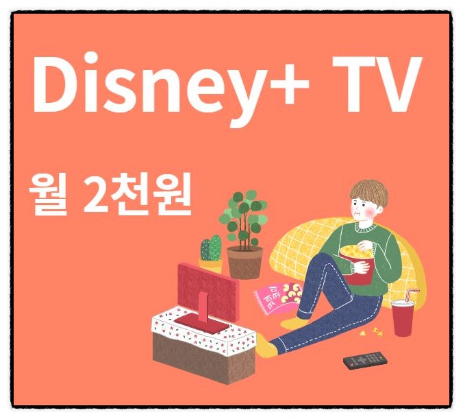 디즈니플러스티비 가격 OTT 공유 할인 방법 : 네이버 블로그