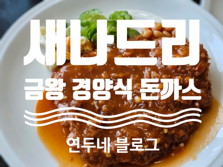 음성 금왕 맛집 새나드리 옛날 추억의 경양식 돈까스 네이버 블로그