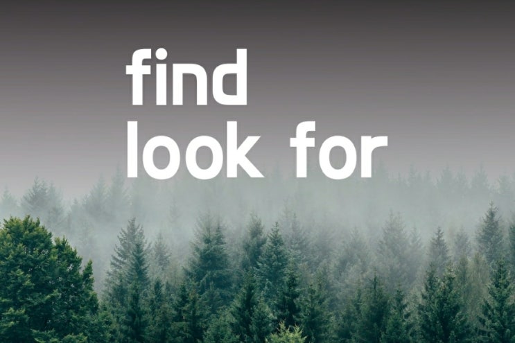 EBS 영어 단어 공부 find / look for 영어문장 : 네이버 블로그