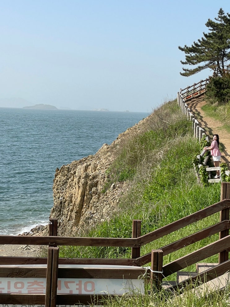 부안진도여행 부안 소노벨변산 변산반도1길 샤스타데이지꽃 카페바람섬 진도 쏠비치 제주도한달살기시작 네이버 블로그