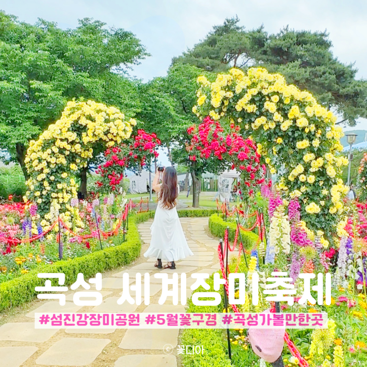 곡성 장미공원 세계장미축제 섬진강 기차마을 곡성 여행 가볼만한곳 네이버 블로그