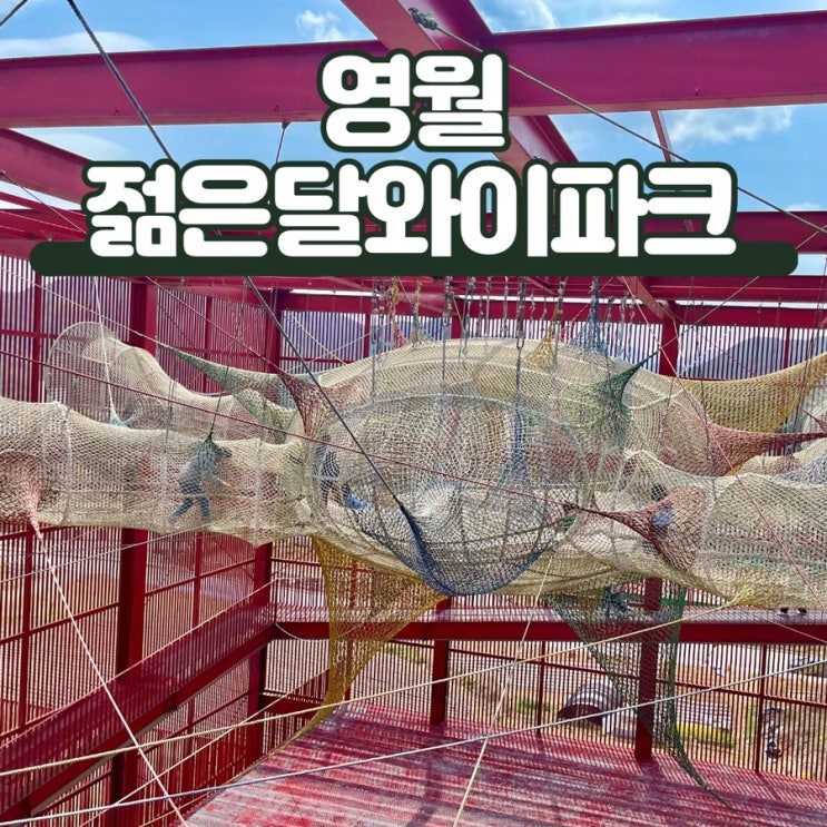 아이랑 강원도 갈만한곳 영월 젊은달 와이파크 사진찍기좋은곳 네이버 블로그