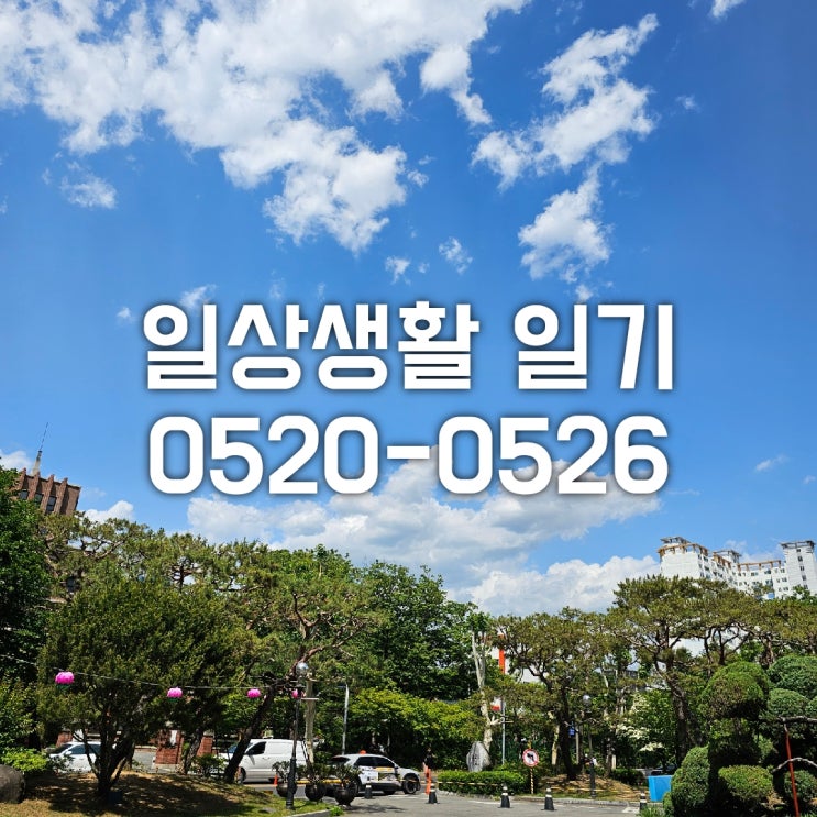2023년 일상생활 일기 0520-0526 : 네이버 블로그