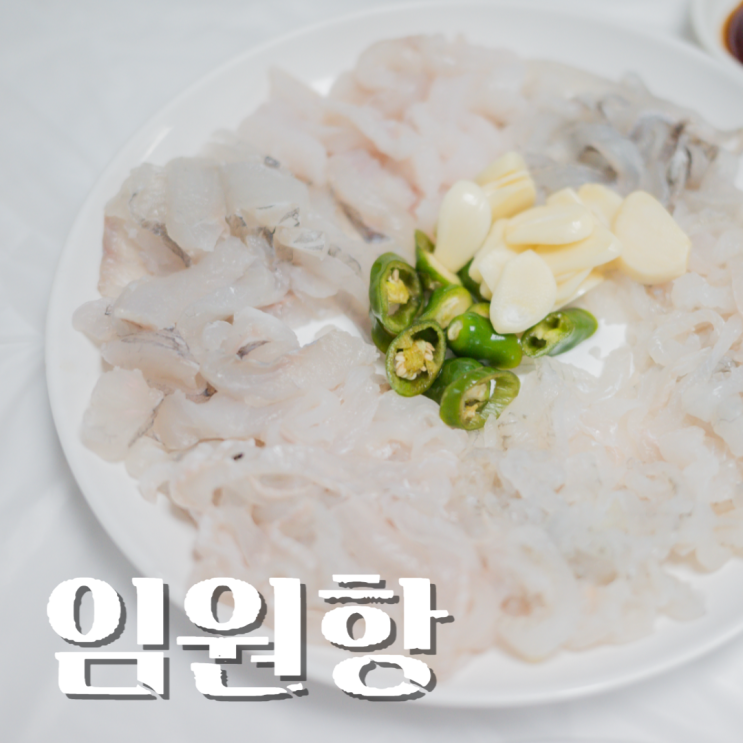 삼척 임원항 회센터 부산항 횟집 삼척 여행을 부르는 곳 네이버 블로그