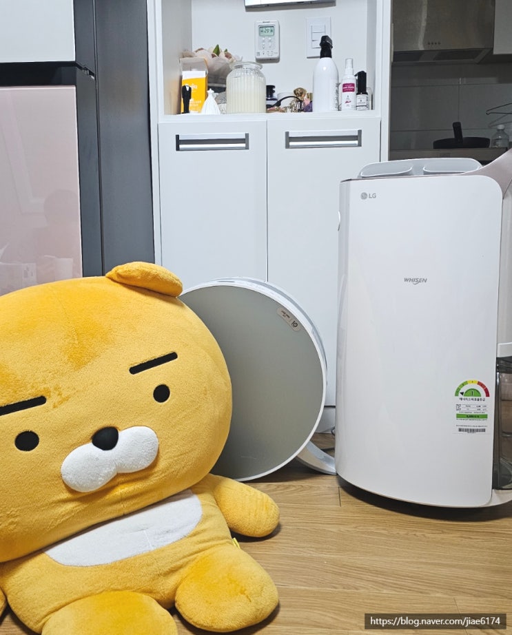 LG휘센 제습기 20L 비교 // DQ202PGUA 골드 추천 : 네이버 블로그