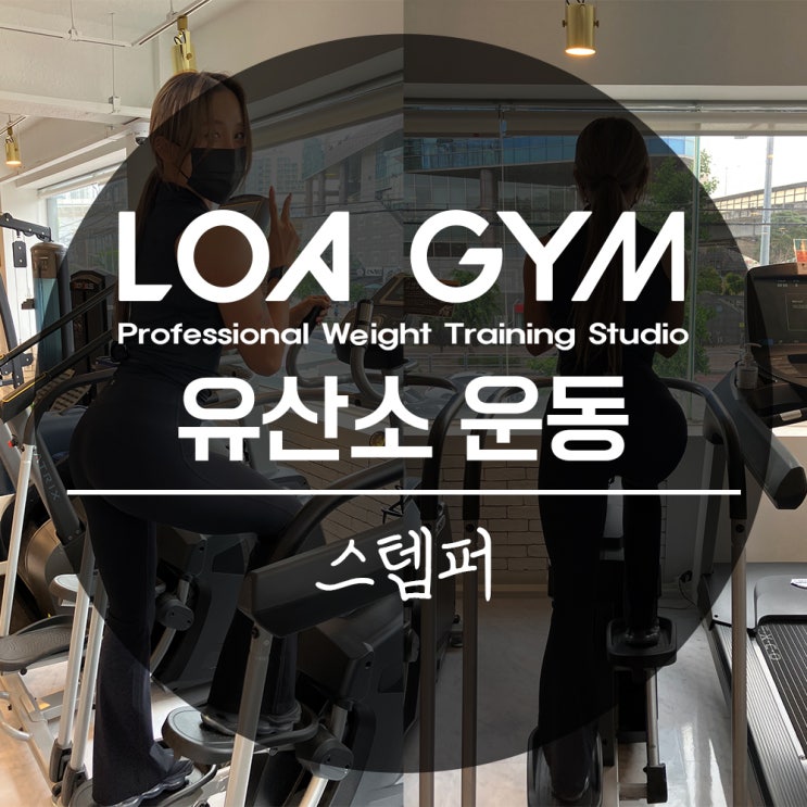 월곡pt 로아짐 유원희 마스터 트레이너 유산소 타면서 힙업까지 스텝퍼 사용방법 네이버 블로그