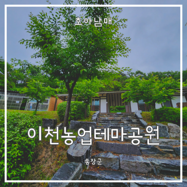 이천농업테마공원 어농골펜션 숙박시설 숲체험촌 네이버 블로그