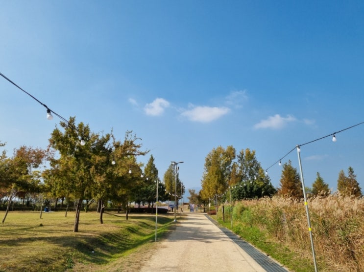 부산 북구 화명생태공원 오토캠핑장 : 네이버 블로그