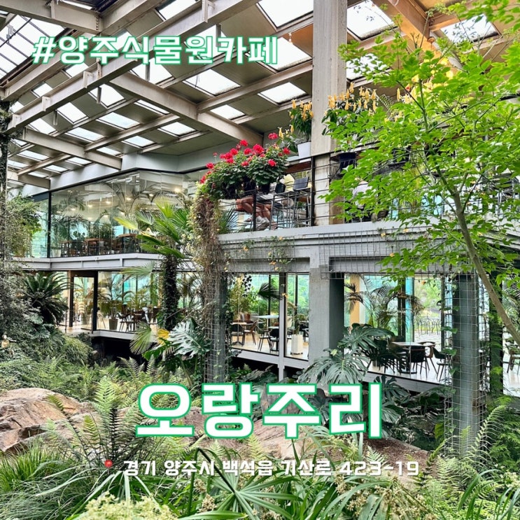 파주 양주 대형 식물원 카페 오랑주리 주말에 가족이랑 다녀온 핫플 네이버 블로그