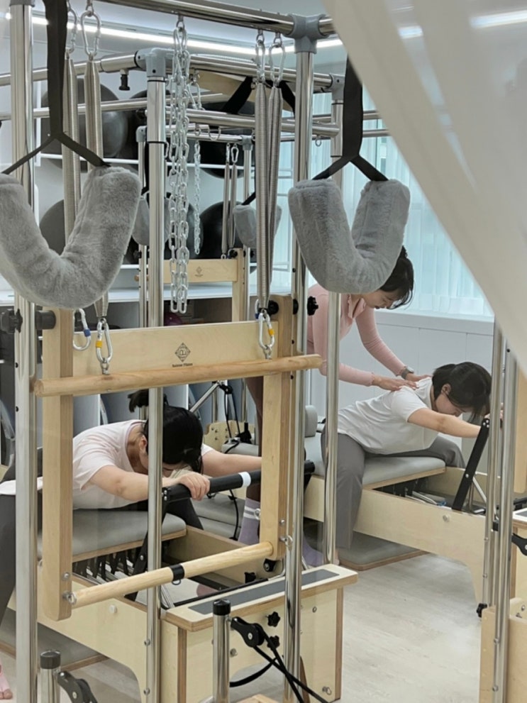 51 소그룹레슨 으로 섬세한 티칭 경험해보세요 남양동 바꿈 필라테스 창원 필라테스 네이버 블로그