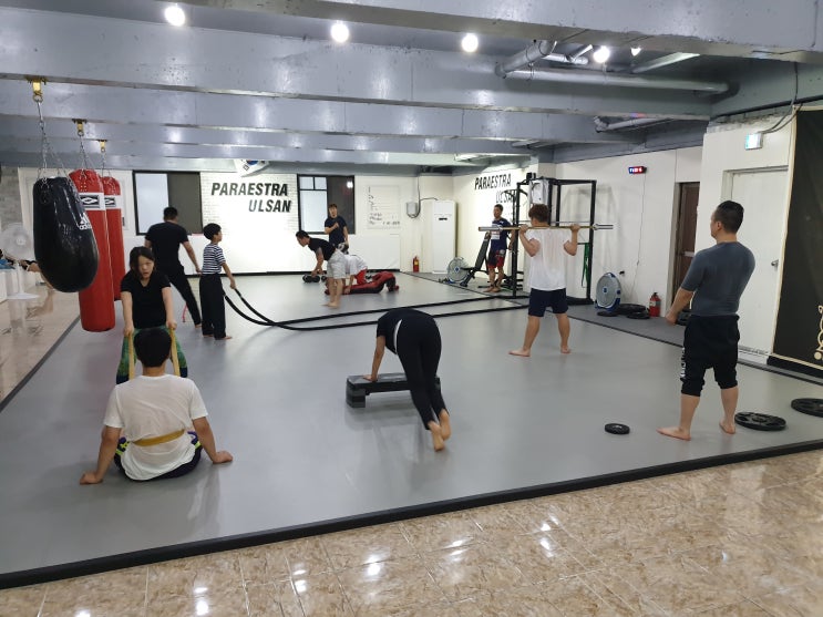 울산주짓수다이어트 6월의 시작은 울산주짓수전문체육관인 파라에스트라울산과 함께 시작해보세요 네이버 블로그