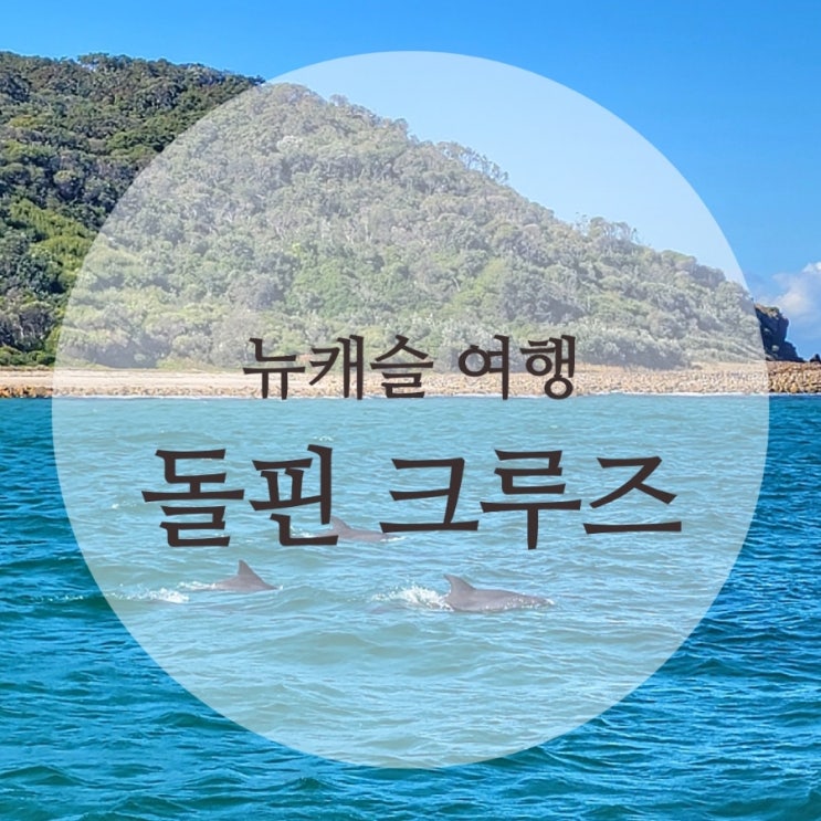 호주 뉴캐슬 여행 3일차 돌핀 크루즈 포트 스테판 네이버 블로그