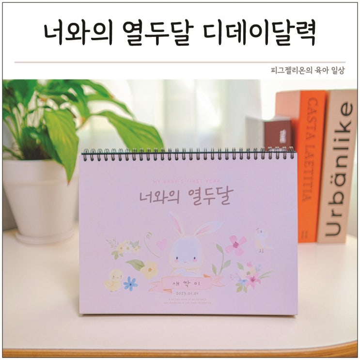 아기 개월수 성장 발달 원더윅스 기간 맞춤제작 신생아 디데이달력 추천 네이버 블로그