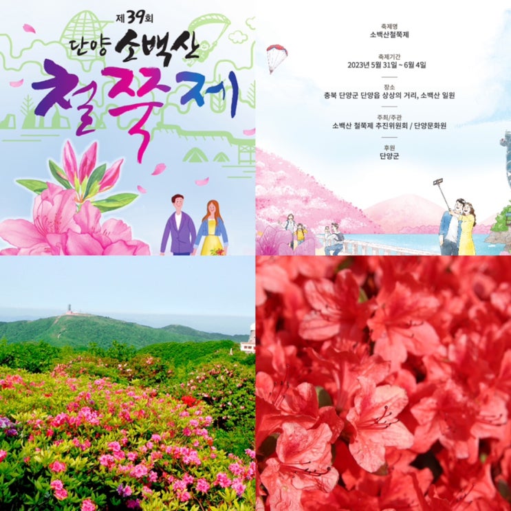 2023 단양 소백산철쭉제 기본정보 소백산 철쭉 등산코스 초대가수 이찬원 네이버 블로그