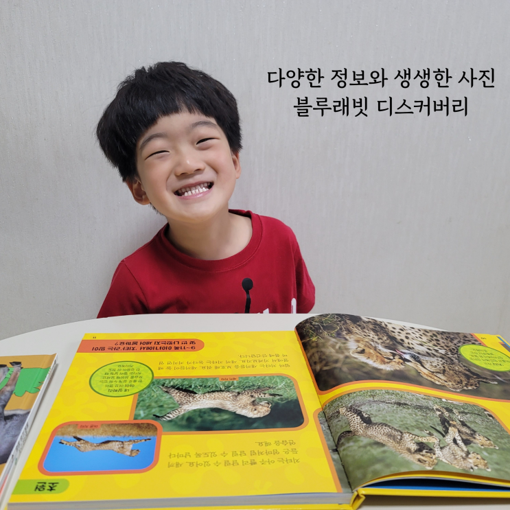 생생한 사진으로 재미를 더하는 지식백과 블루래빗 디스커버리 네이버 블로그