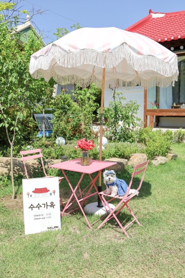 전남 애견동반펜션 한옥 독채 곡성 수수가옥 촌캉스 숙소 네이버 블로그