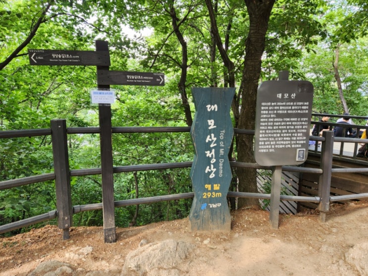 강남일원 등린이 대모산 등산 일지 주말 왕복 1시간 간편 코스 네이버 블로그