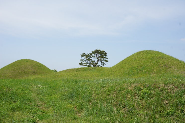 함안여행 함안박물관 And 말이산고분군 And 말이산고분전시관 함안 가볼만한 곳 네이버 블로그