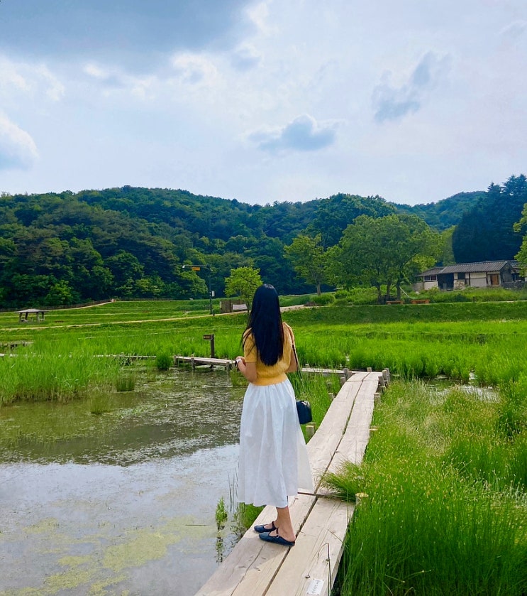 청주 상당산성 피크닉 산책로 주차장 주말 나들이 드라이브 코스 볼거리 가득 네이버 블로그