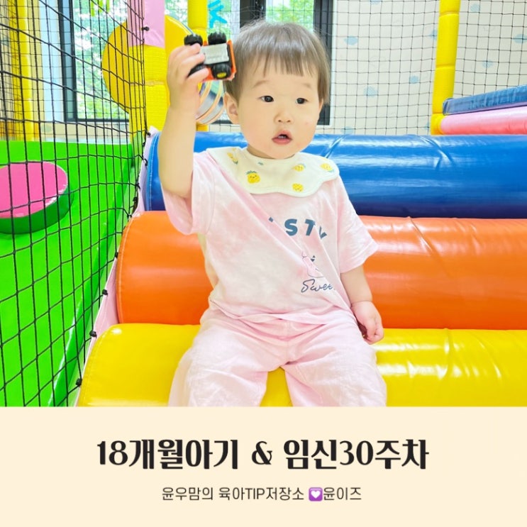 18개월 육아 And 임신30주 일상블로그 네이버 블로그