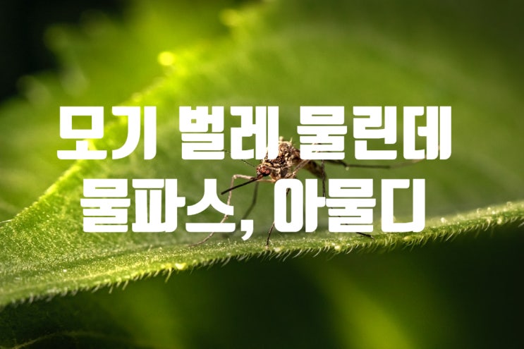 벌레, 모기 물린데 바르는 약, 가려움증/ 신신 물파스 s, 아물디 비교 후기 : 네이버 블로그