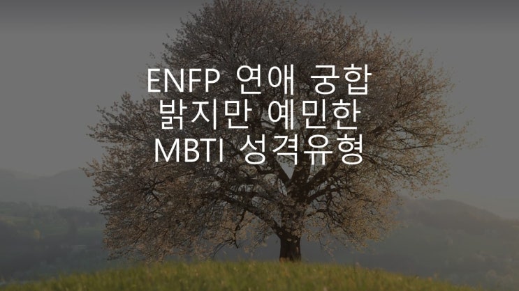 ENFP 연애 궁합 밝지만 예민한 MBTI 성격유형 : 네이버 블로그