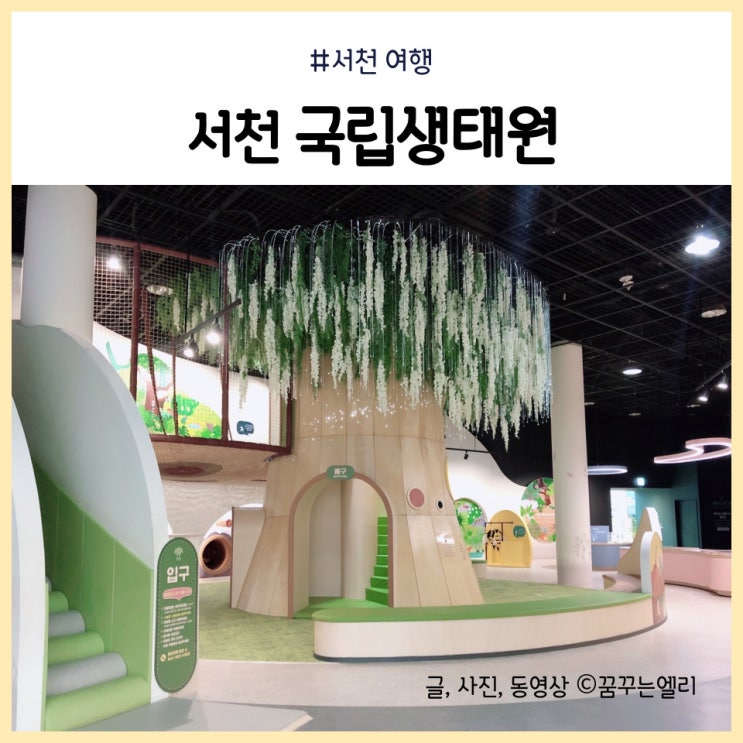 서천 국립생태원 에코리움 주차 및 식당 이용후기 네이버 블로그