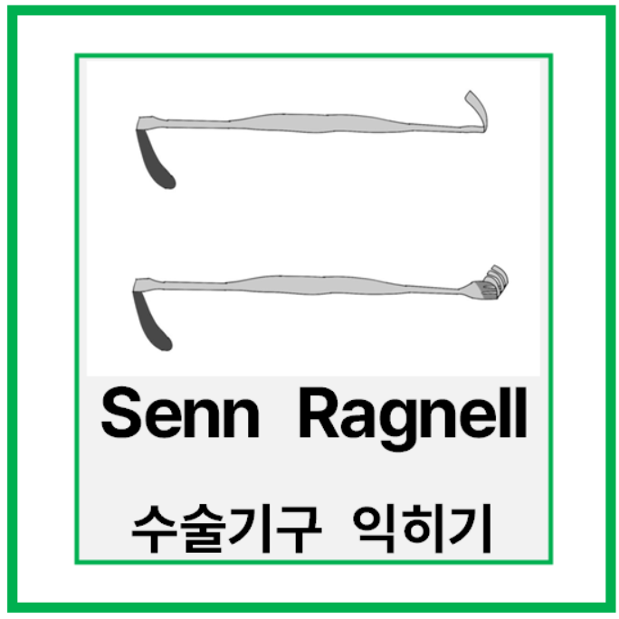 Senn 쎈 ragnell 라그넬 익히기 : 네이버 블로그