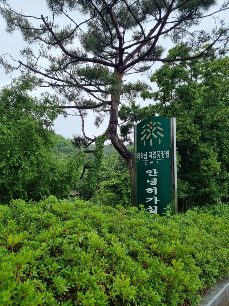 블챌 천안태학산자연휴양림 오토캠핑장 가족힐링추천 네이버 블로그
