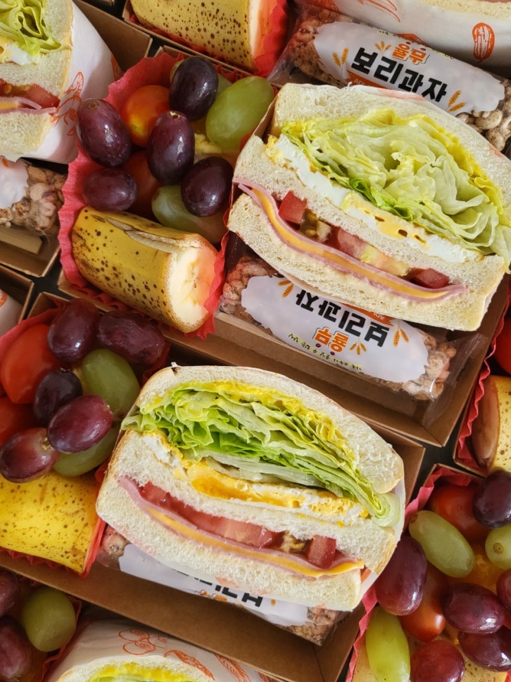 일산 단체도시락 주문 샌드위치와 과일도시락 단체주문 맛집 피그래빗 네이버 블로그
