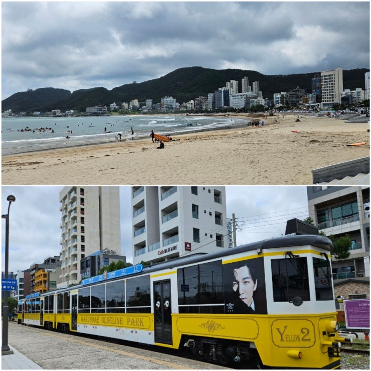 부산 송정해수욕장 서핑의 메카 And 해운대블루라인파크 송정정거장에서 해변열차 타고 해안절경 즐기기 네이버 블로그