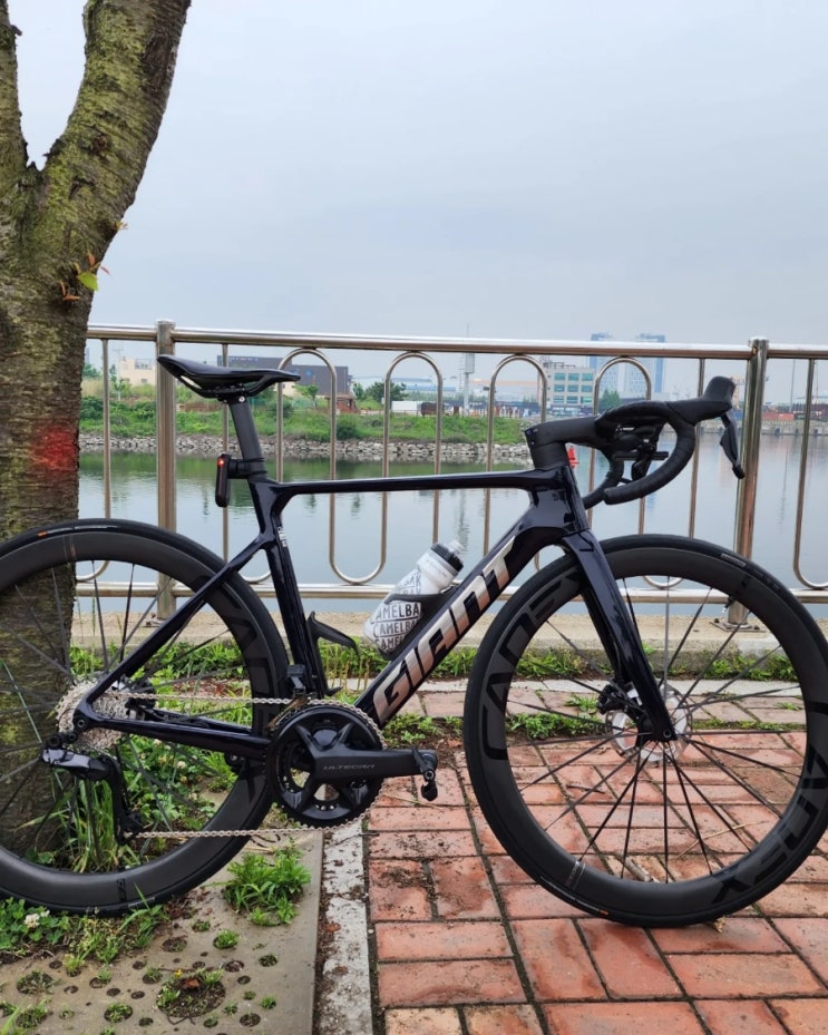 2023 프로펠 어드밴스 프로 0 DI2 테스트 ft. 정서진 하노이 남산 : 네이버 블로그