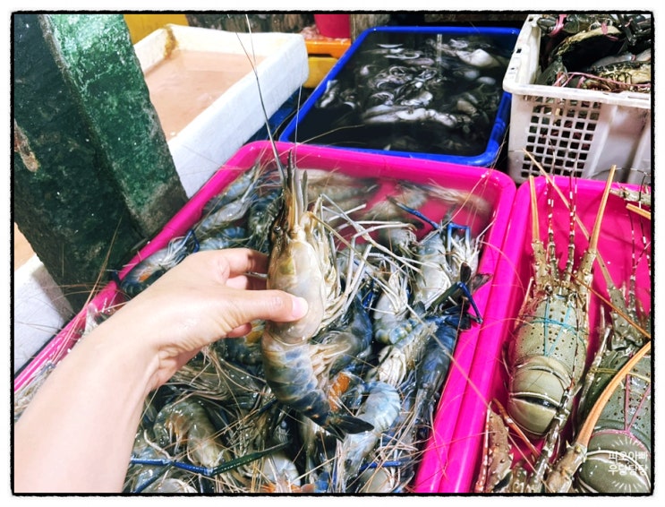 발리 짐바란 수산시장 랍스터 크레이 피시 타이거 새우 그릴 후기 네이버 블로그