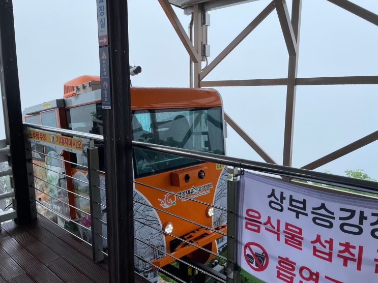 함양 여행 함양 대봉산 휴양밸리 대봉스카이랜드 대봉 모노레일 탑승후기 네이버 블로그